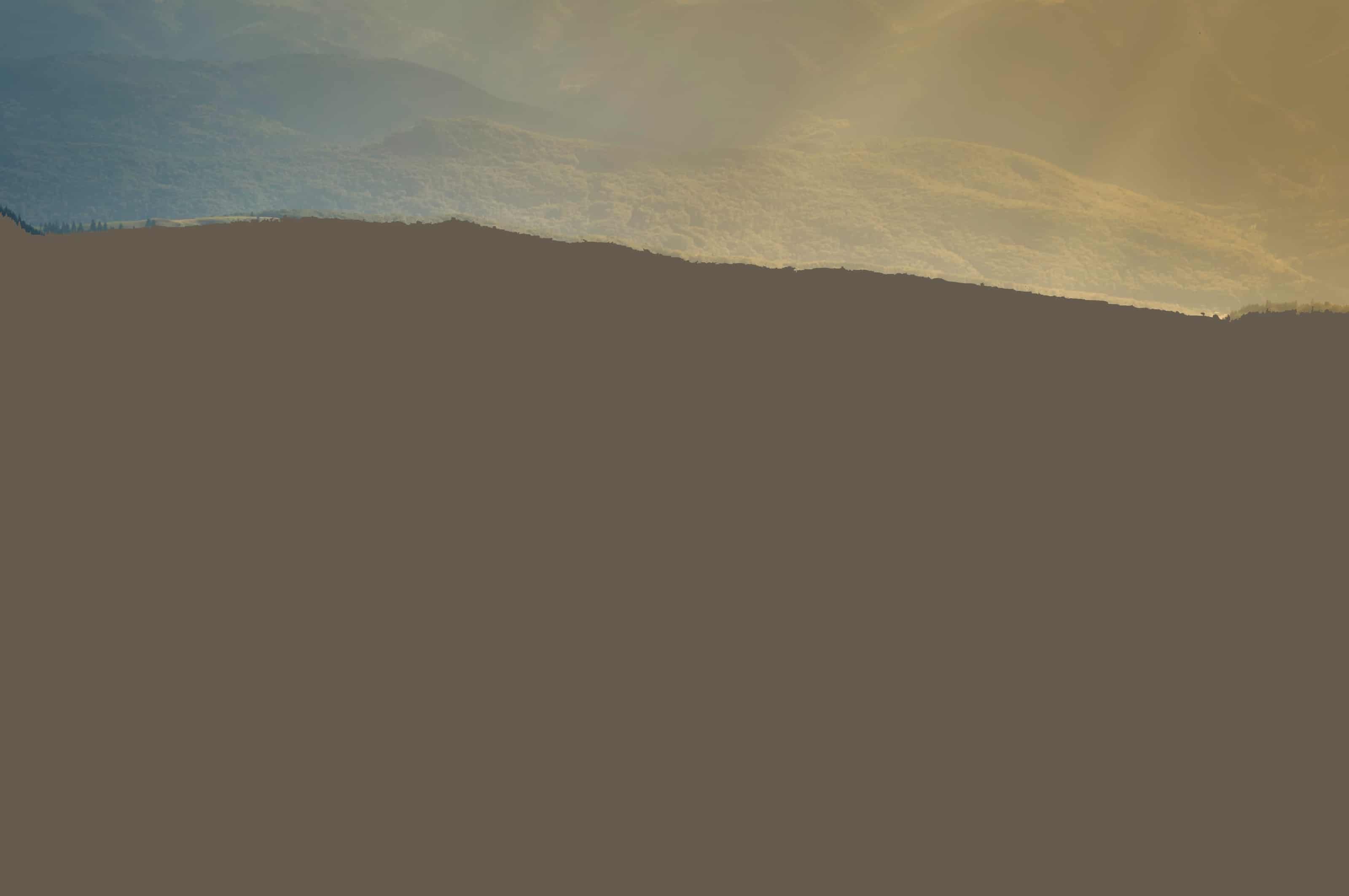 Finli - Your Smart Financial Assistant